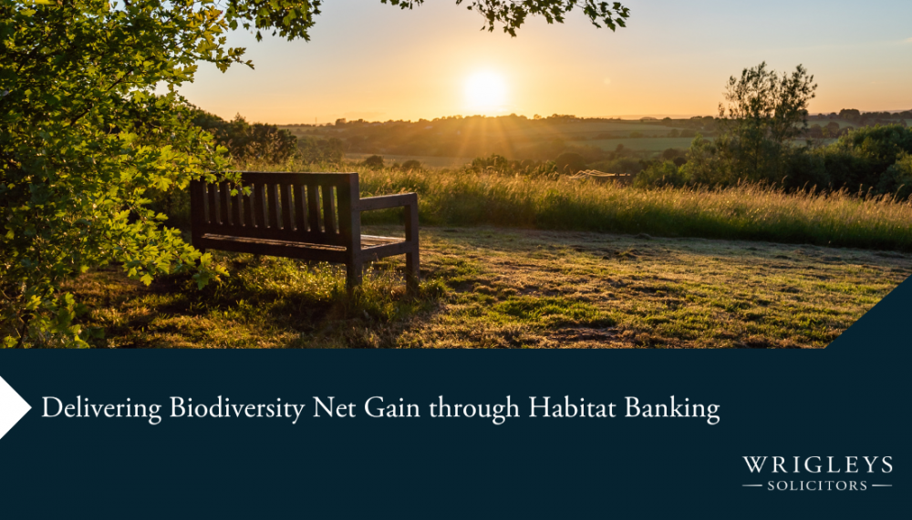 Delivering biodiversity net gain through habitat banking - Wrigleys ...