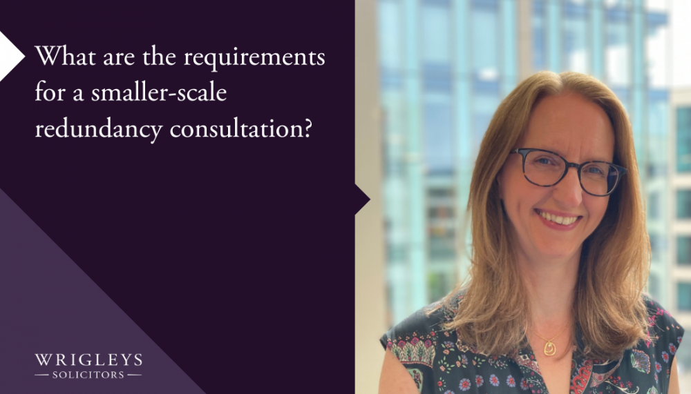 What are the requirements for a smaller-scale redundancy consultation ...
